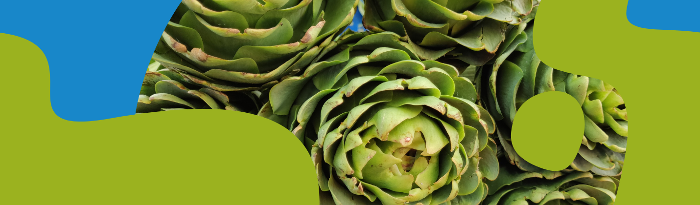 Artichoke: Health Benefits, Nutrition & Liver Support | Medpak